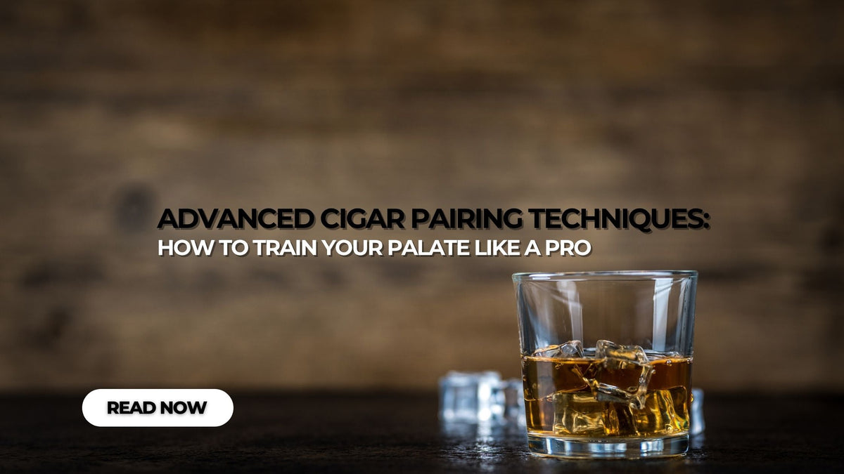Train Your Palate: Advanced Cigar Pairing Guide | After Action Cigars