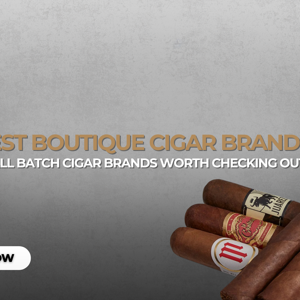 Famous Cigar Brands Every Aficionado Should Know