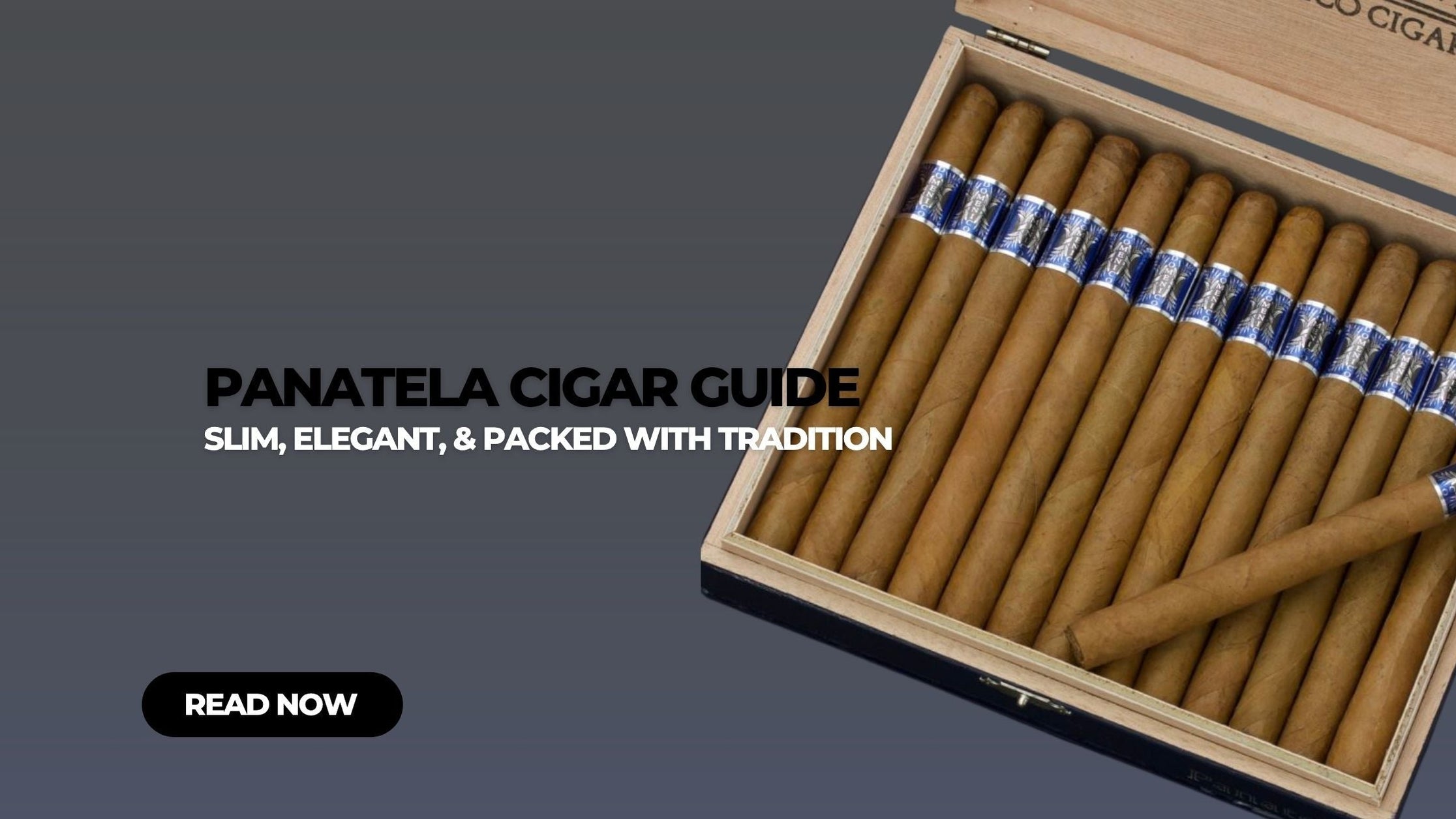 Panatela Cigar Guide: Elegant, Slim, and Full of Flavor | After Action ...