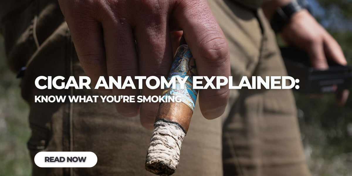 Cigar Anatomy Explained: Wrapper, Binder & Filler Breakdown