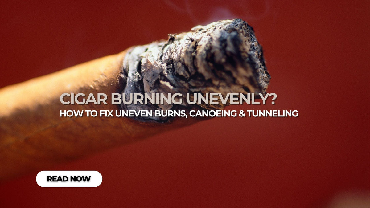 Cigar Burning Unevenly? How to Fix Uneven Burns, Canoeing & Tunneling