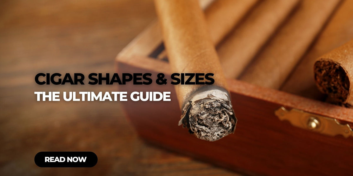 Cigar Shapes and Sizes: The Ultimate Guide | After Action Cigars
