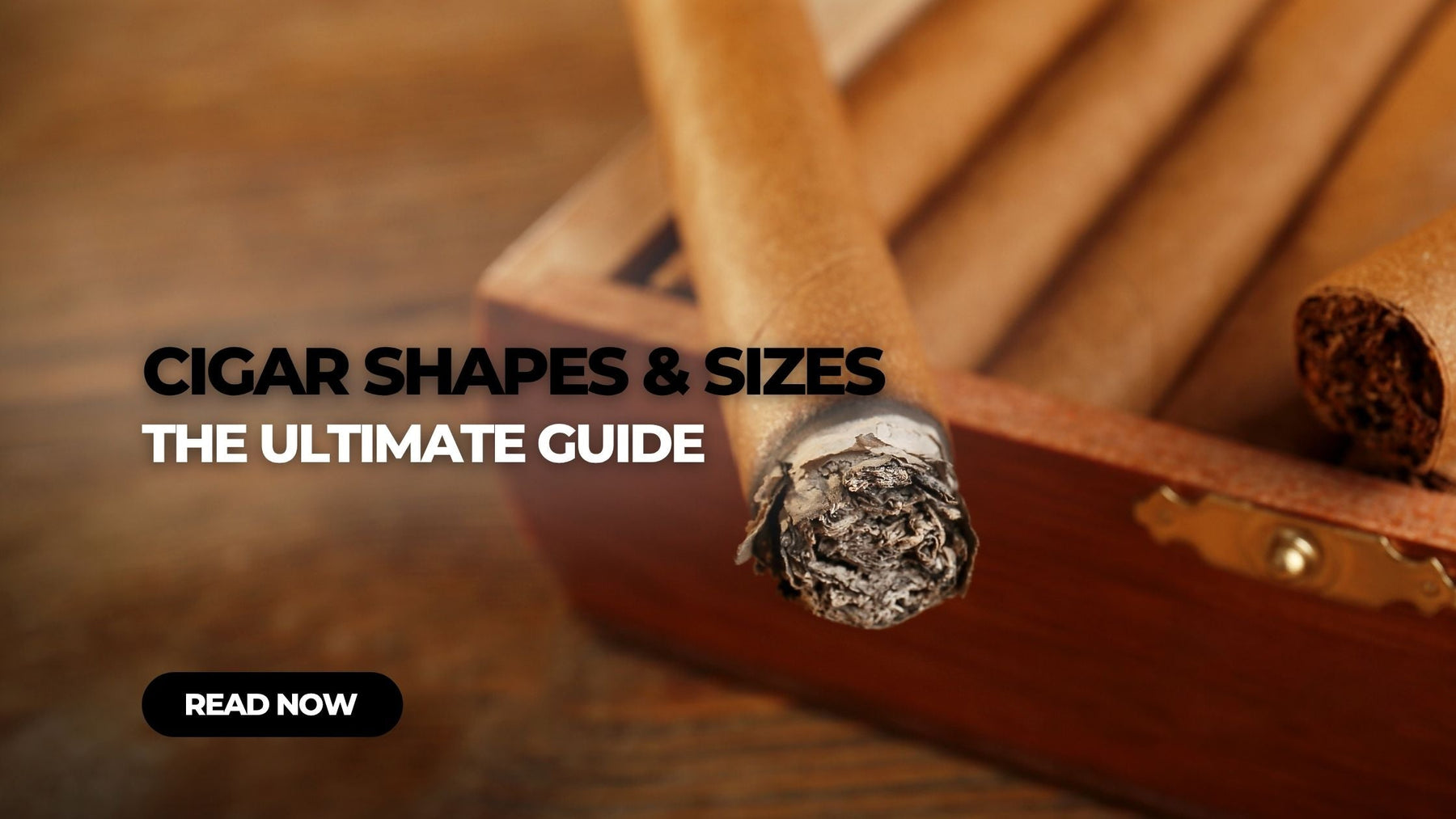 Cigar Shapes and Sizes: The Ultimate Guide