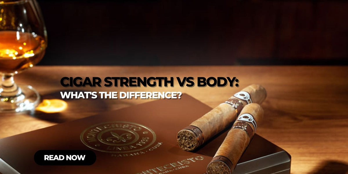 Cigar Strength vs Body: What's the Difference?