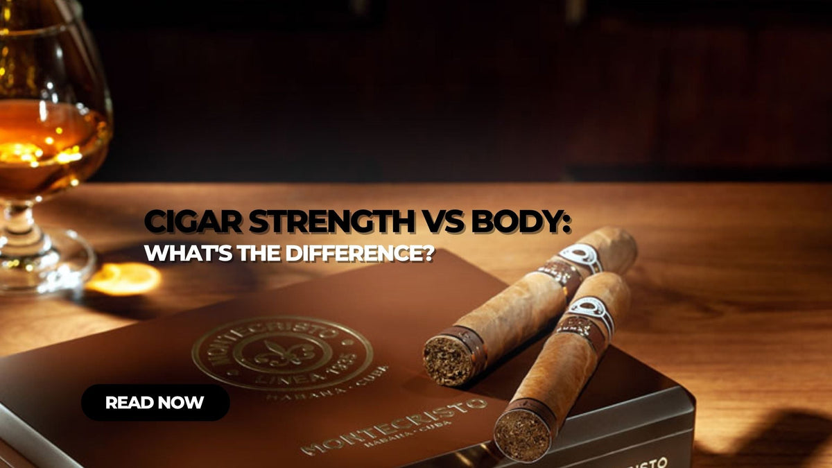 Cigar Strength vs Body: What's the Difference? | After Action Cigars