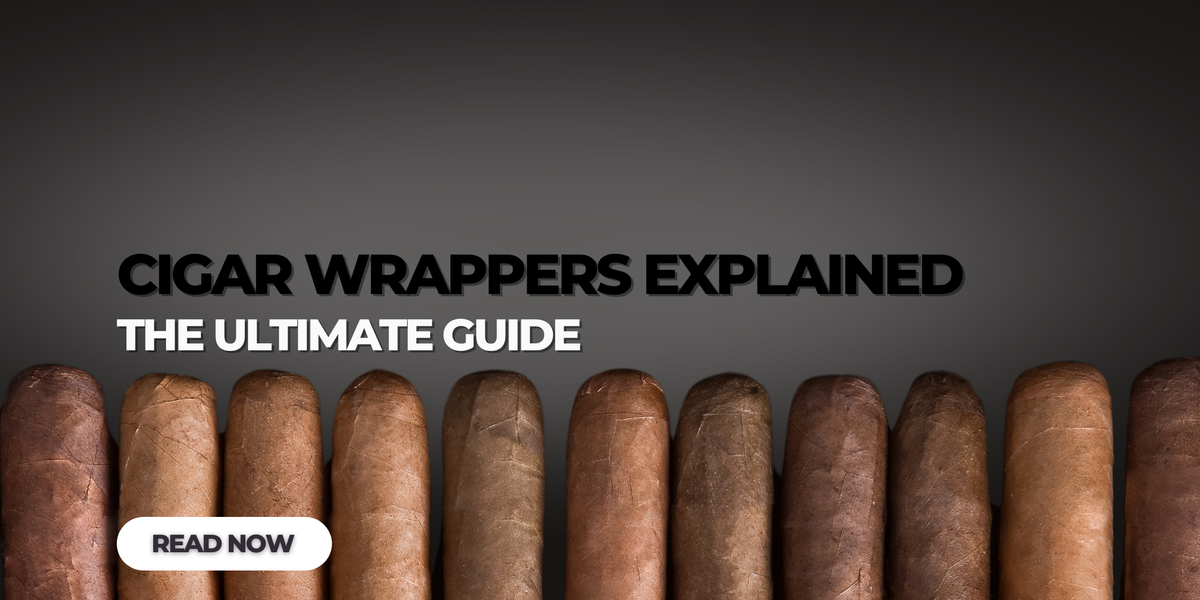 Cigar Wrappers Explained: Essential Guide to Flavor & Style