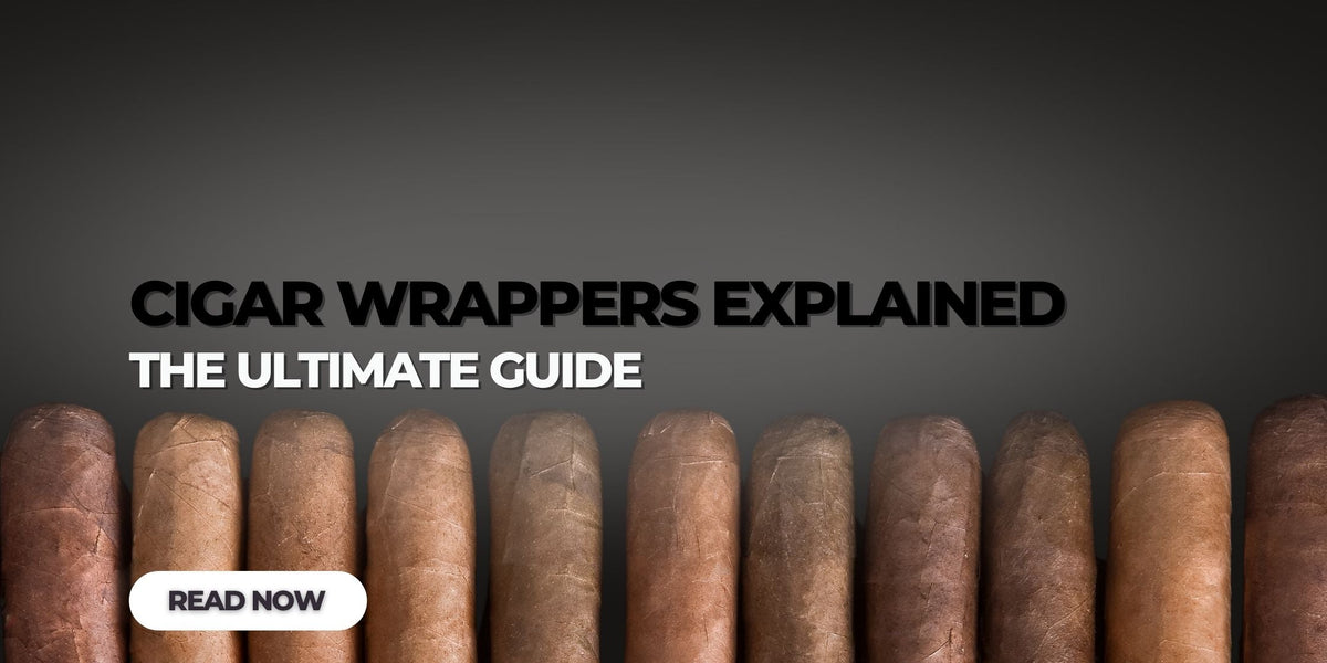 Cigar Wrappers Explained: Essential Guide to Flavor & Style
