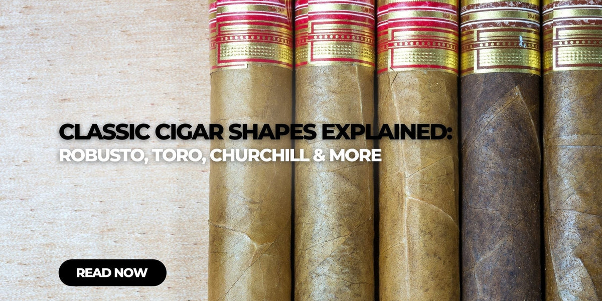 Classic Cigar Shapes: Robusto, Toro, Churchill & More | After Action Cigars