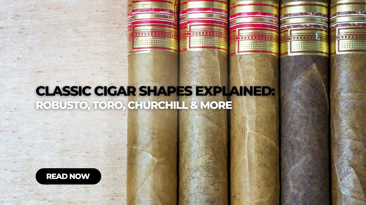Classic Cigar Shapes: Robusto, Toro, Churchill & More | After Action Cigars