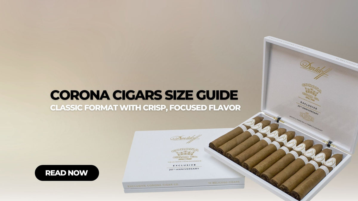 Corona Cigars Size Guide