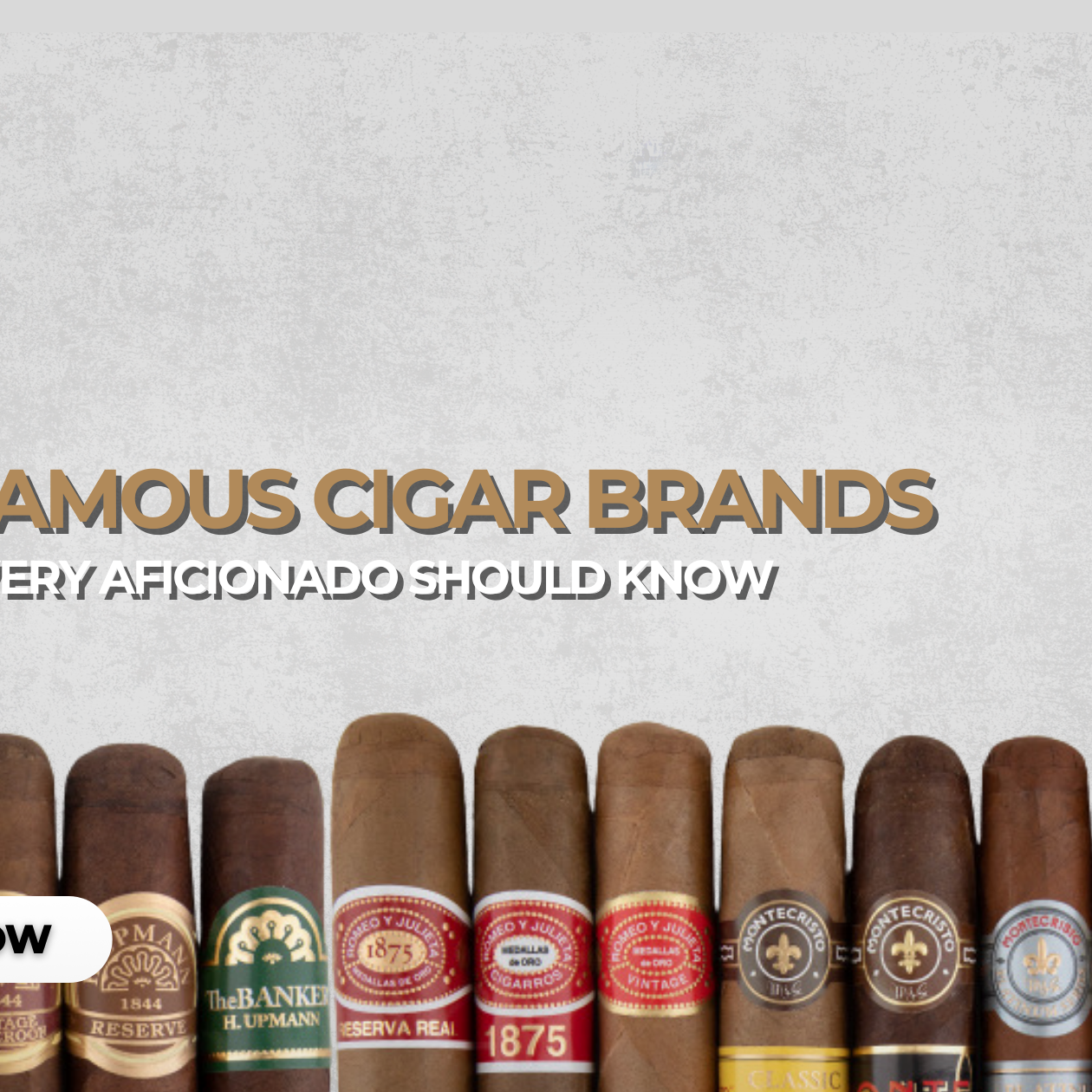 Cigar Recommendations | Expert Picks & Top Lists