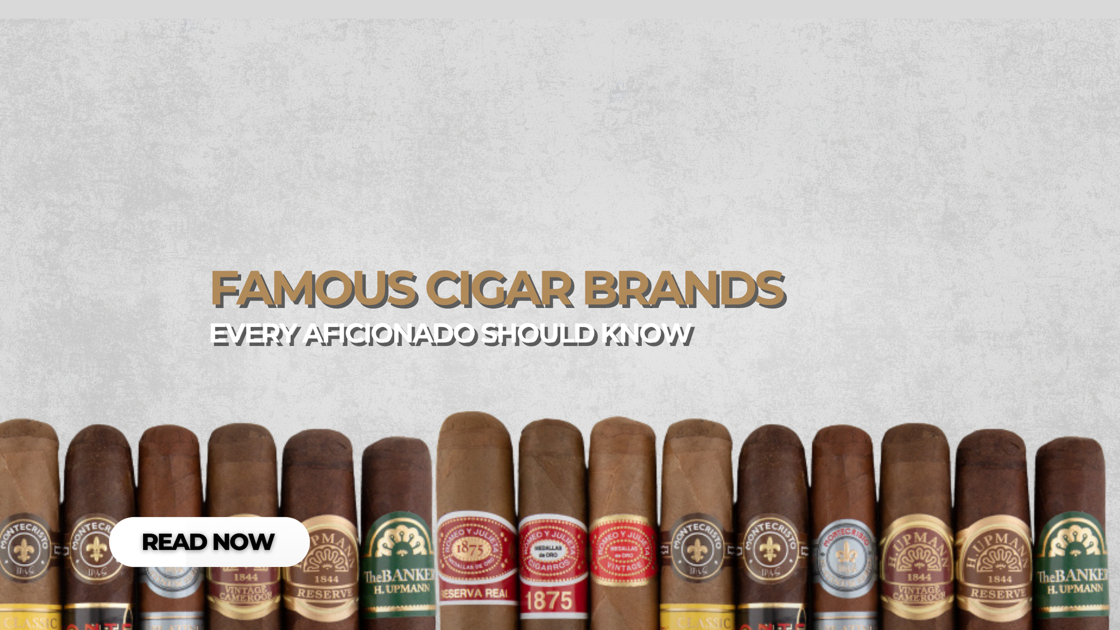 Famous Cigar Brands Every Aficionado Should Know