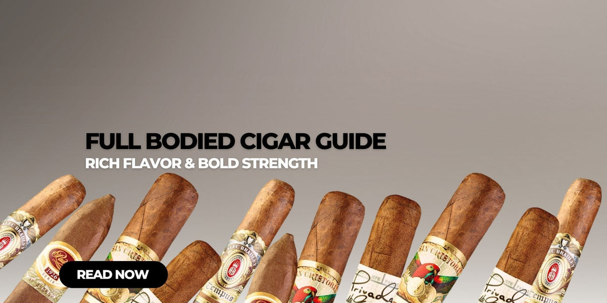 Full-Bodied Cigars: Bold Strength & Rich Flavor Guide