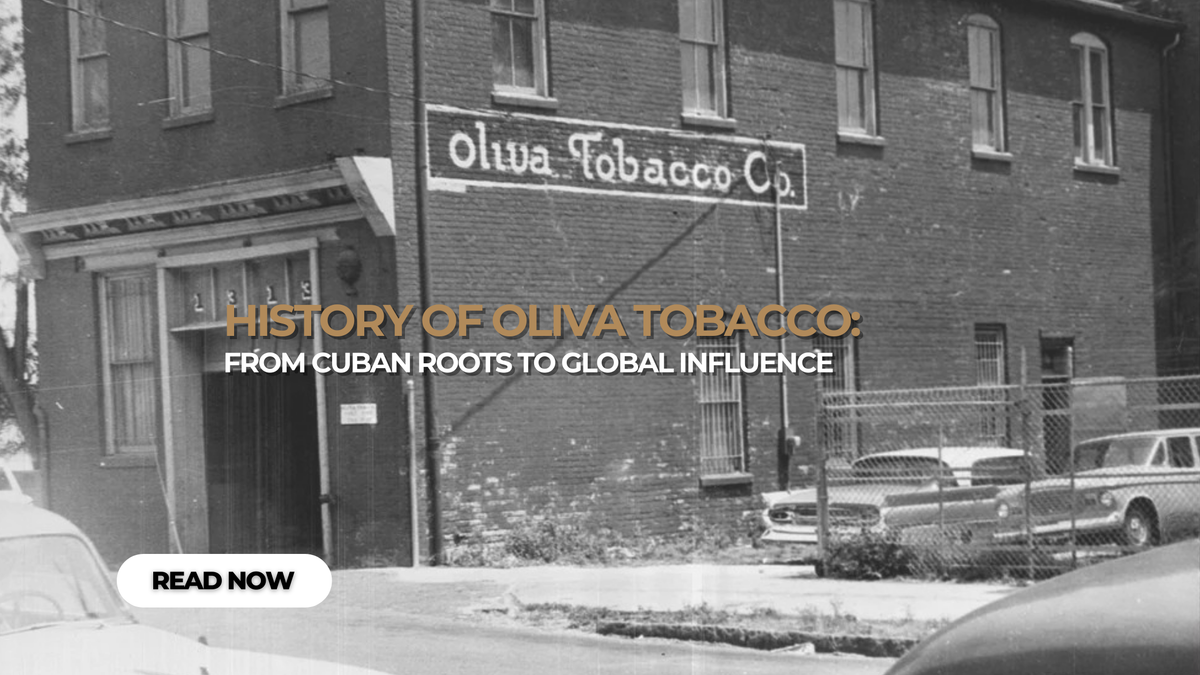 History of Oliva Tobacco: Rise to Global Influence