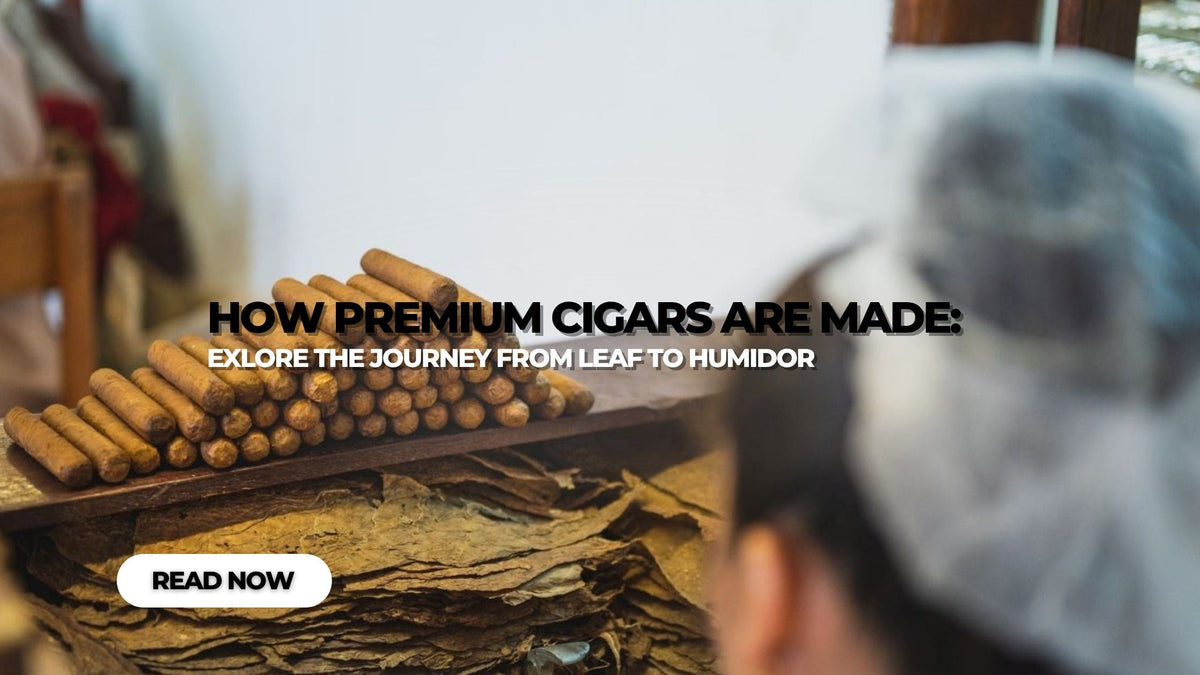 How Cigars Are Made: From Leaf to Humidor