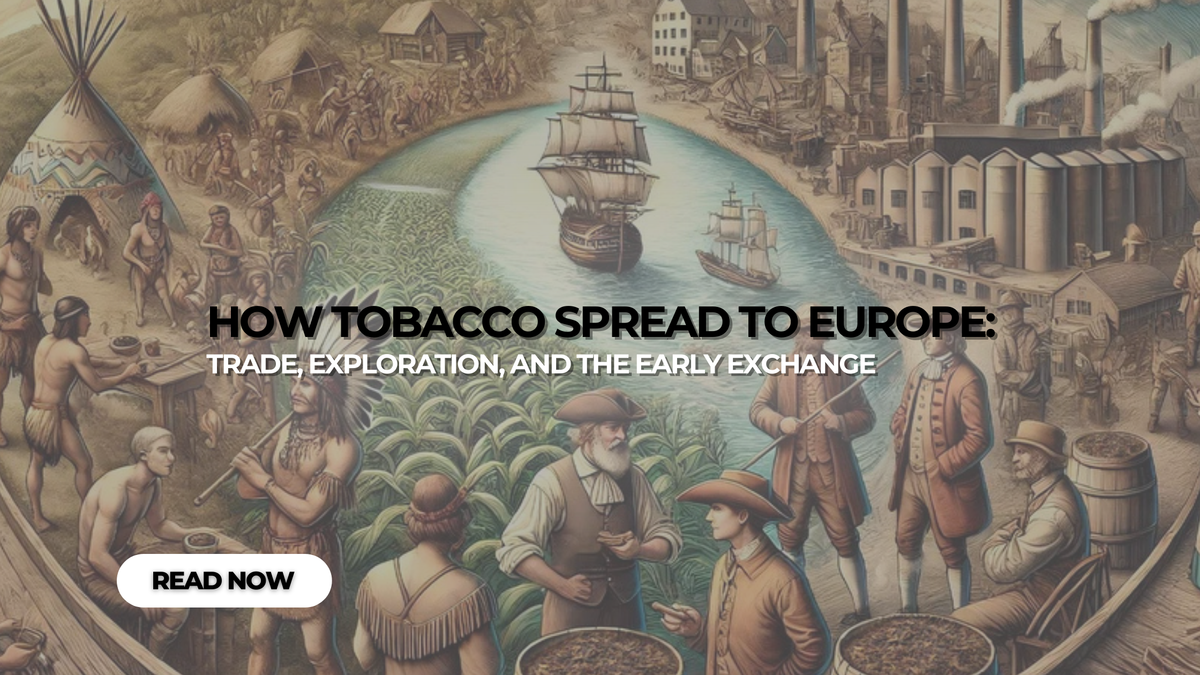 How Tobacco Spread to Europe: The New World’s Influence