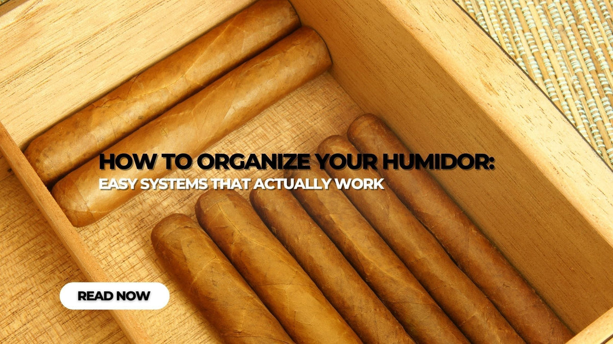 Cigar Storage Made Simple: Organize Your Humidor