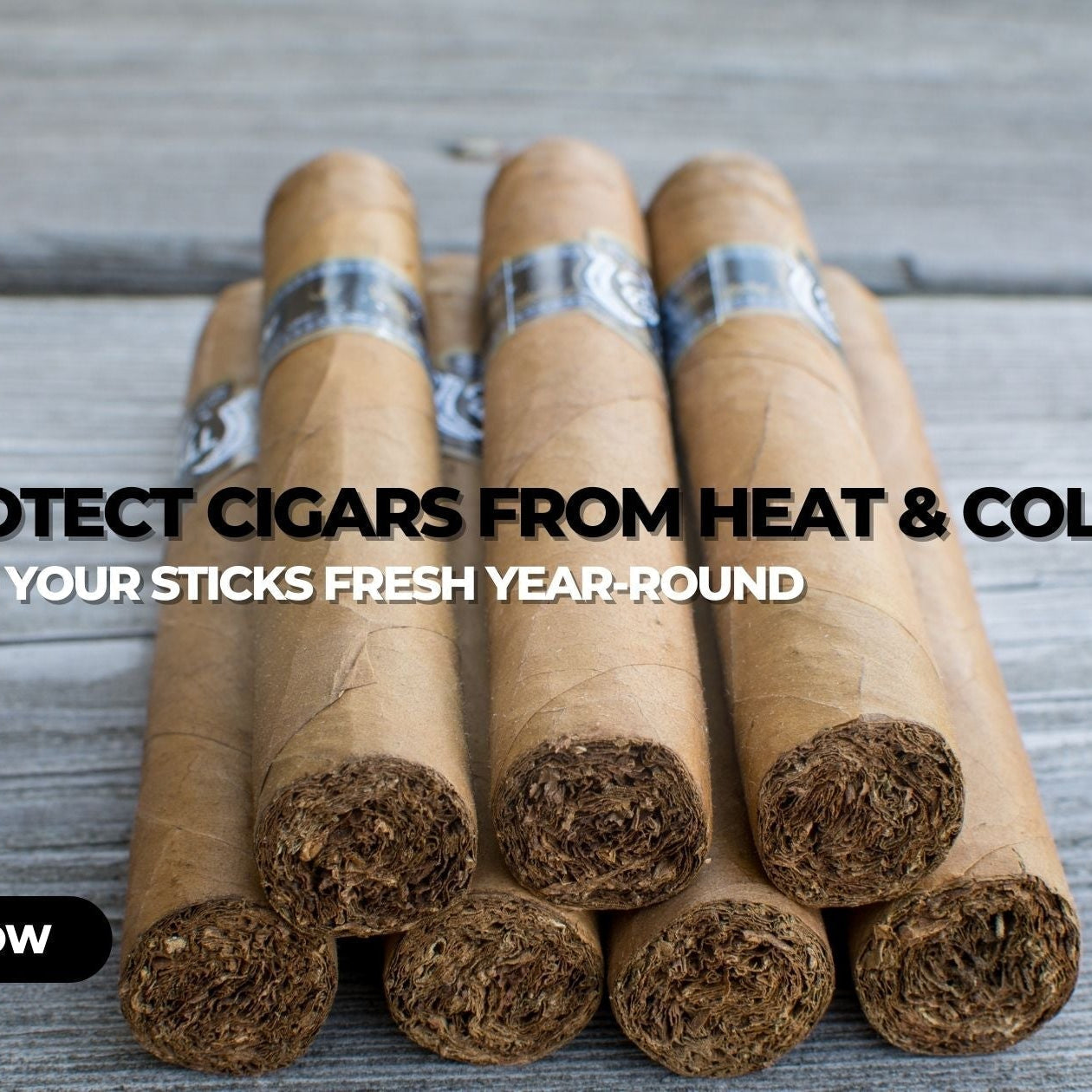 Cigar Storage 101 | How to Store Cigars Properly
