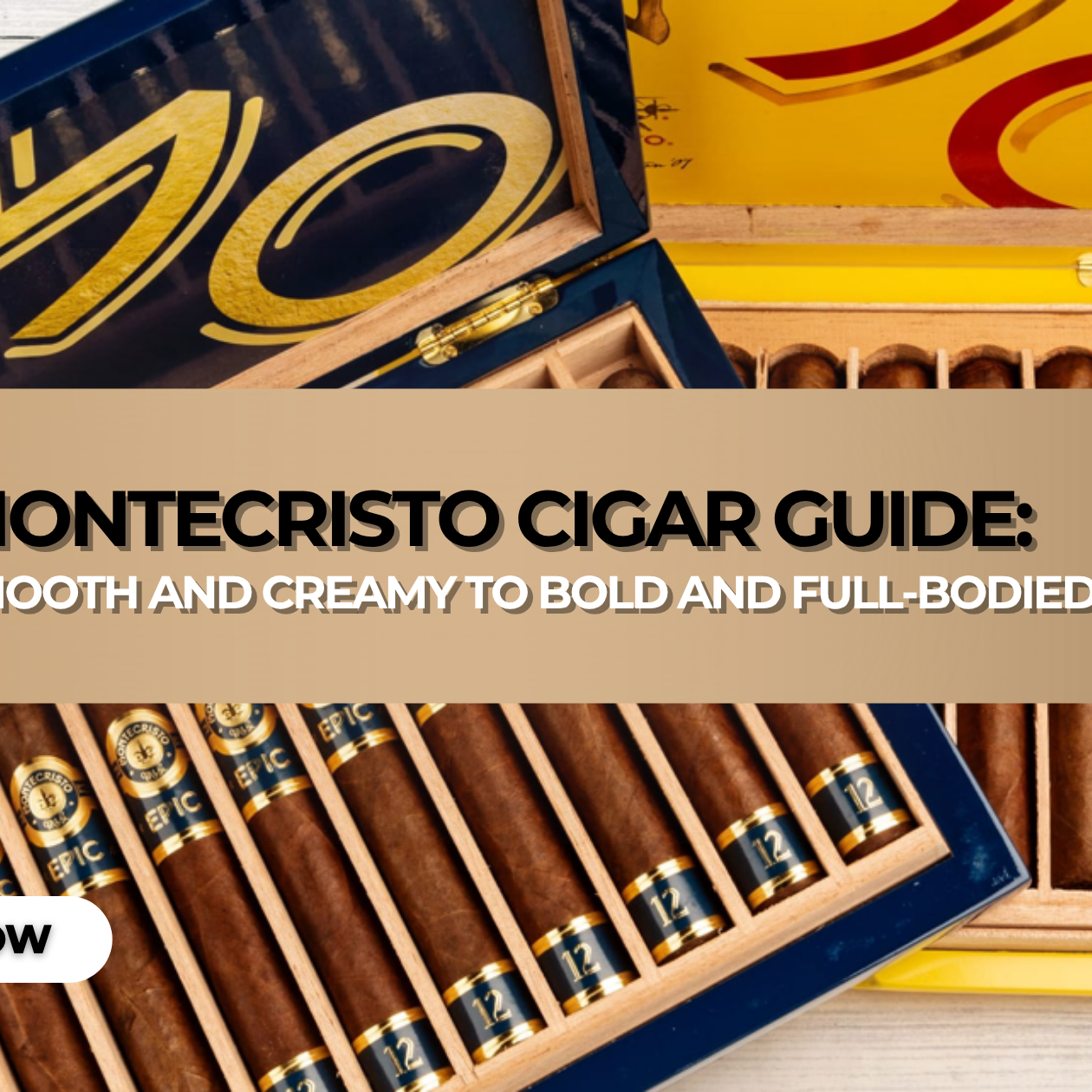 Aganorsa Leaf Cigars Guide: The Tobacco Powerhouse