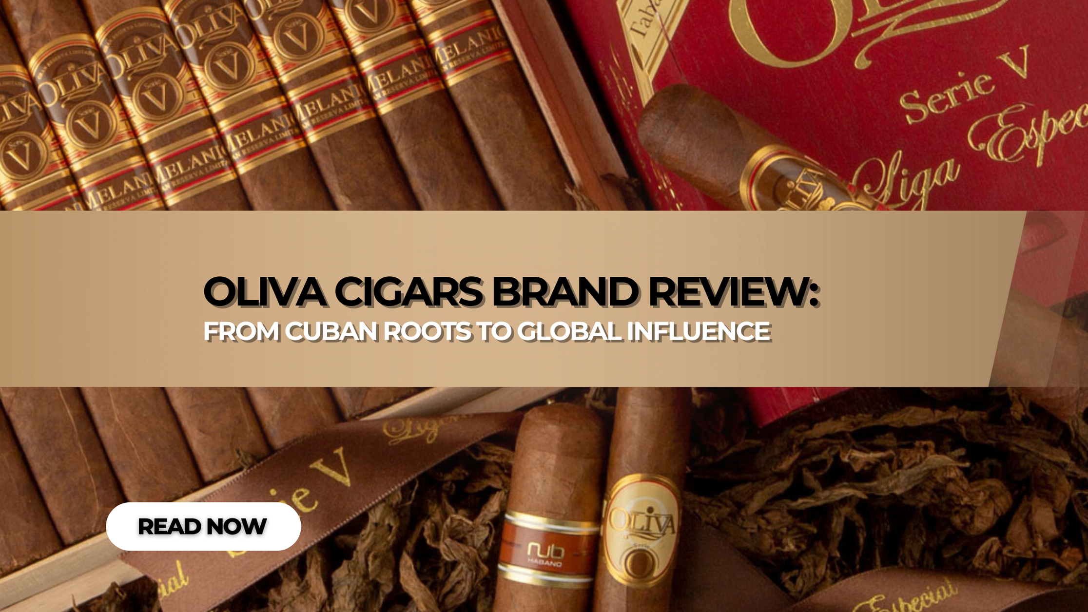 Oliva Cigars Review: History, Highlights, & Lineup