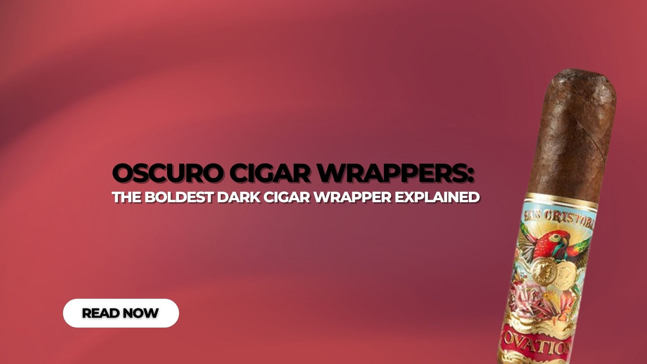 What Is an Oscuro Wrapper? The Darkest Cigar Leaf | After Action Cigars