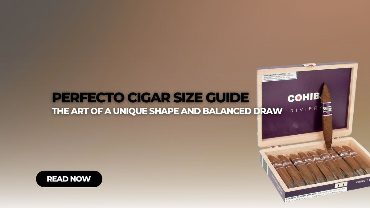 Perfecto Cigar Guide: Shape, Flavor, & Smoking Tips | After Action Cigars