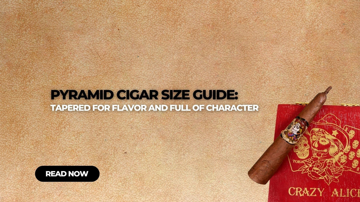 Pyramid Cigar Guide: Flavor, Shape, & Top Picks