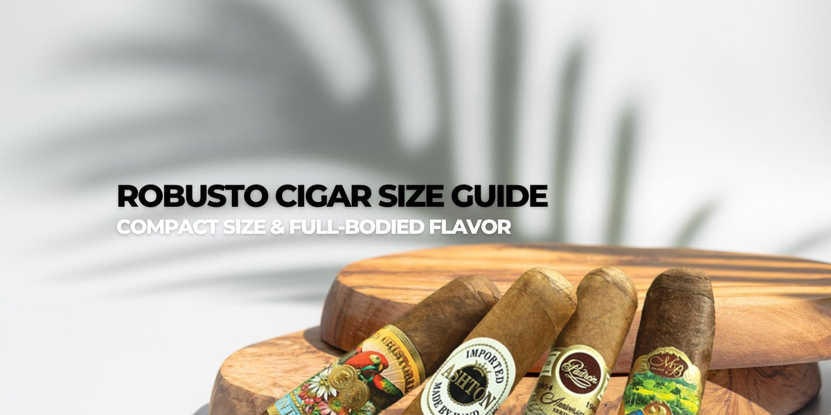 Robusto Cigars Guide: Compact Size, Full-Bodied Flavor | After Action ...