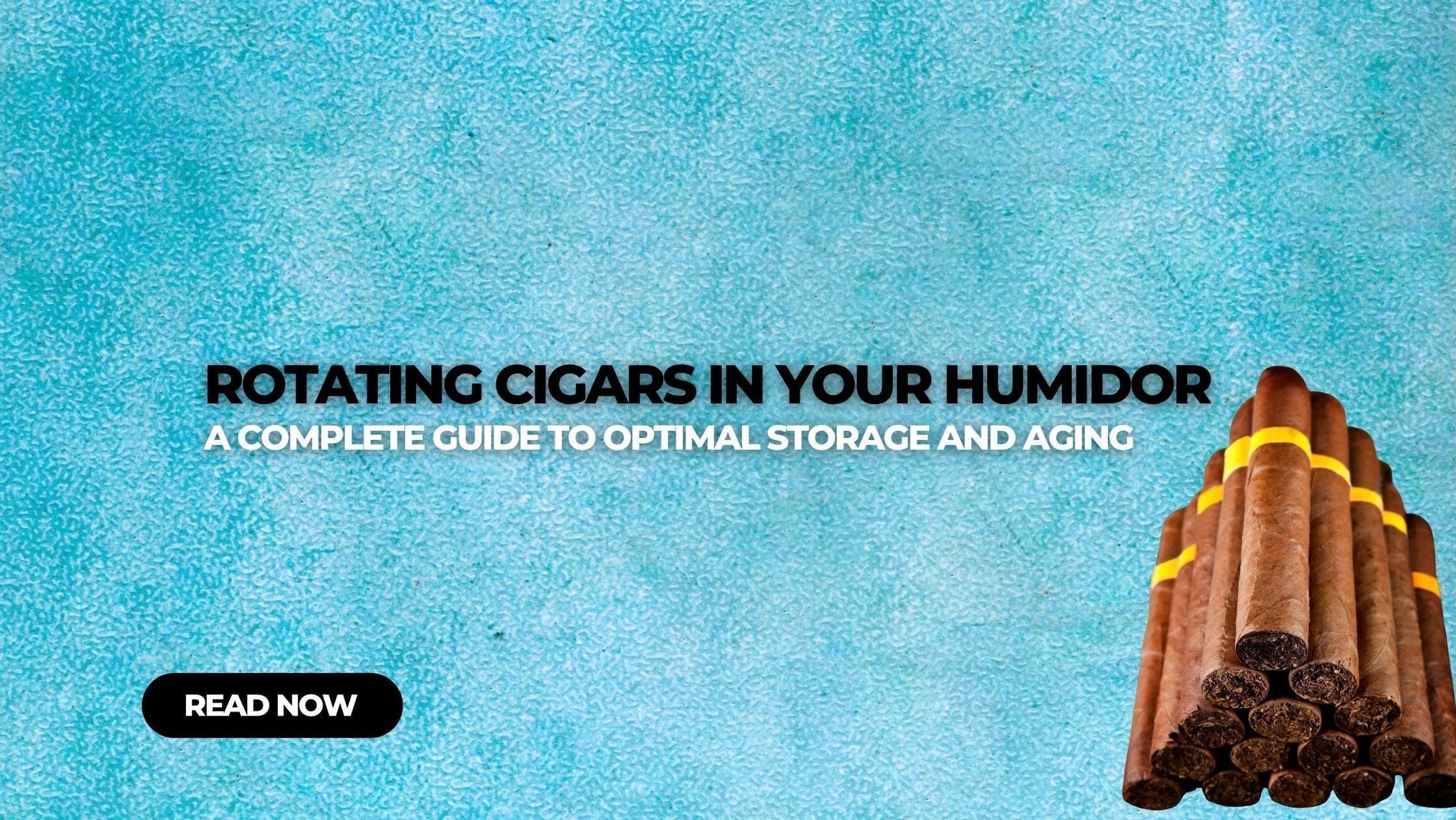 Should You Rotate Cigars in Your Humidor? Tips & Best Practices | After ...