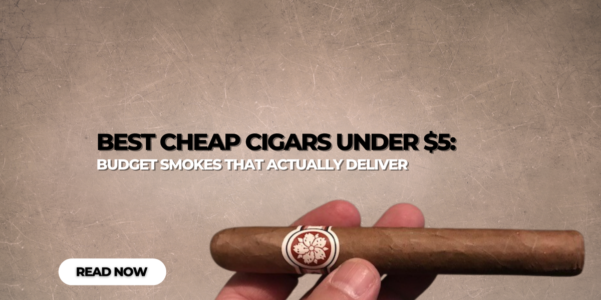 Best Cheap Cigars: Top Picks Under $5