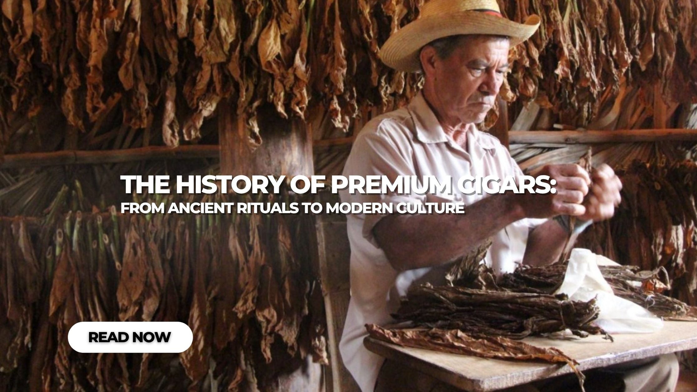 The History of Cigars: Ancient Rituals to Modern Culture