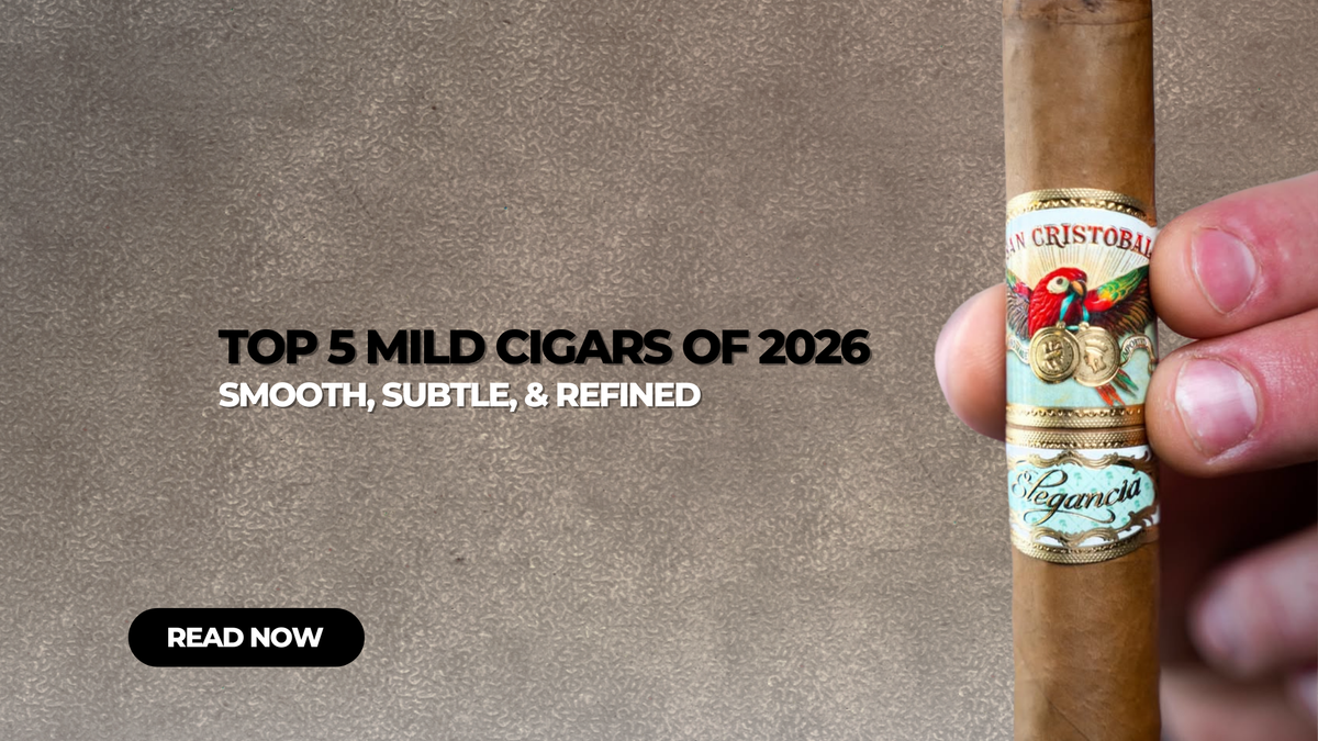 Top 5 Mild Cigars of 2026 | After Action Cigars