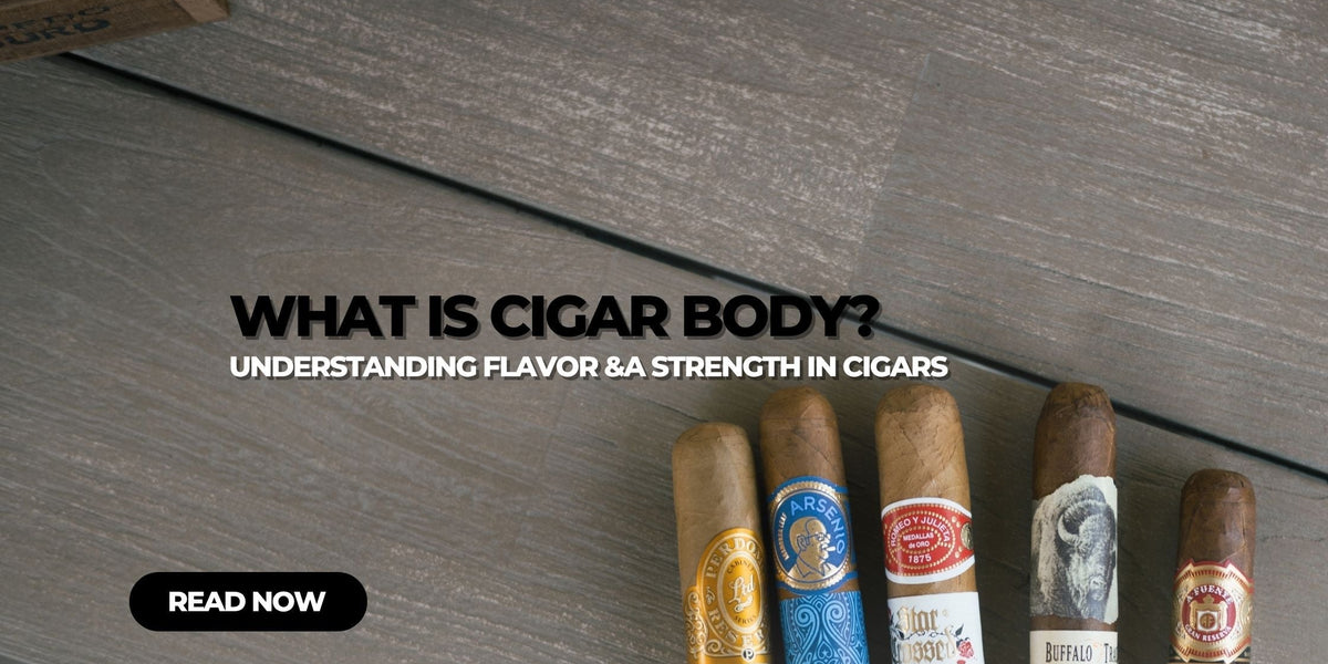 What Is Cigar Body? | Flavor, Strength & Texture Explained