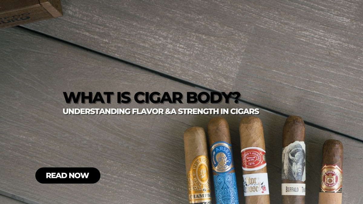 What Is Cigar Body? | Flavor, Strength & Texture Explained | After ...