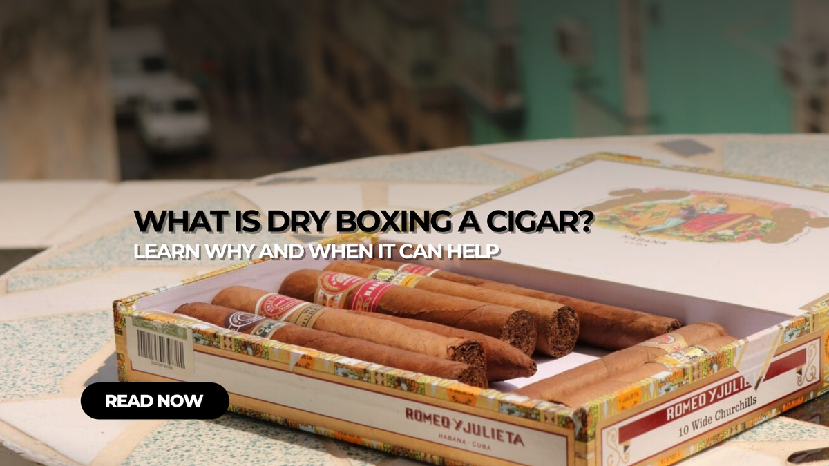 What Is Dry Boxing a Cigar? Why and When It Helps