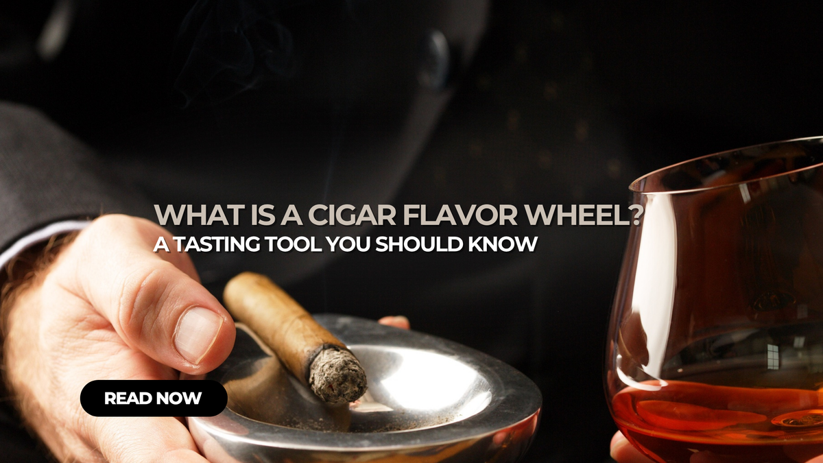 What Is the Cigar Flavor Wheel? Decode Taste Like a Pro