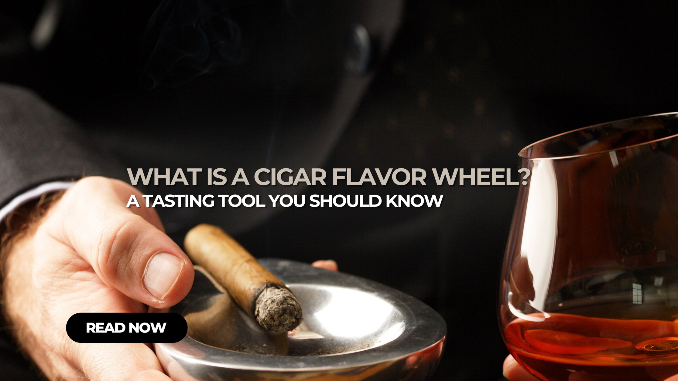 What Is the Cigar Flavor Wheel? Decode Taste Like a Pro