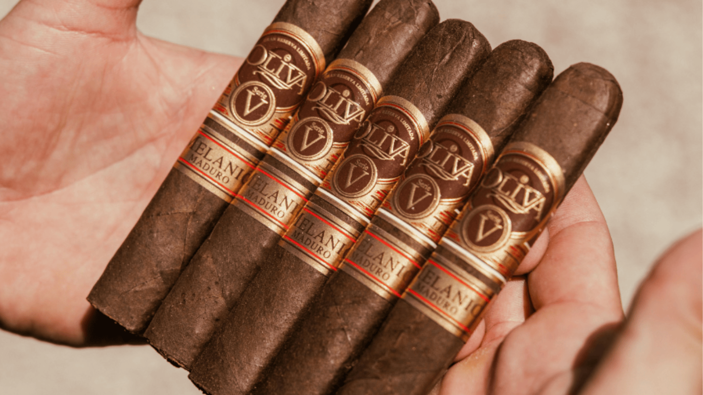 Cigar Academy | Cigar Guides, Etiquette, Reviews & Beginner Help